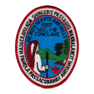 Section NE-1B | PatchVault®