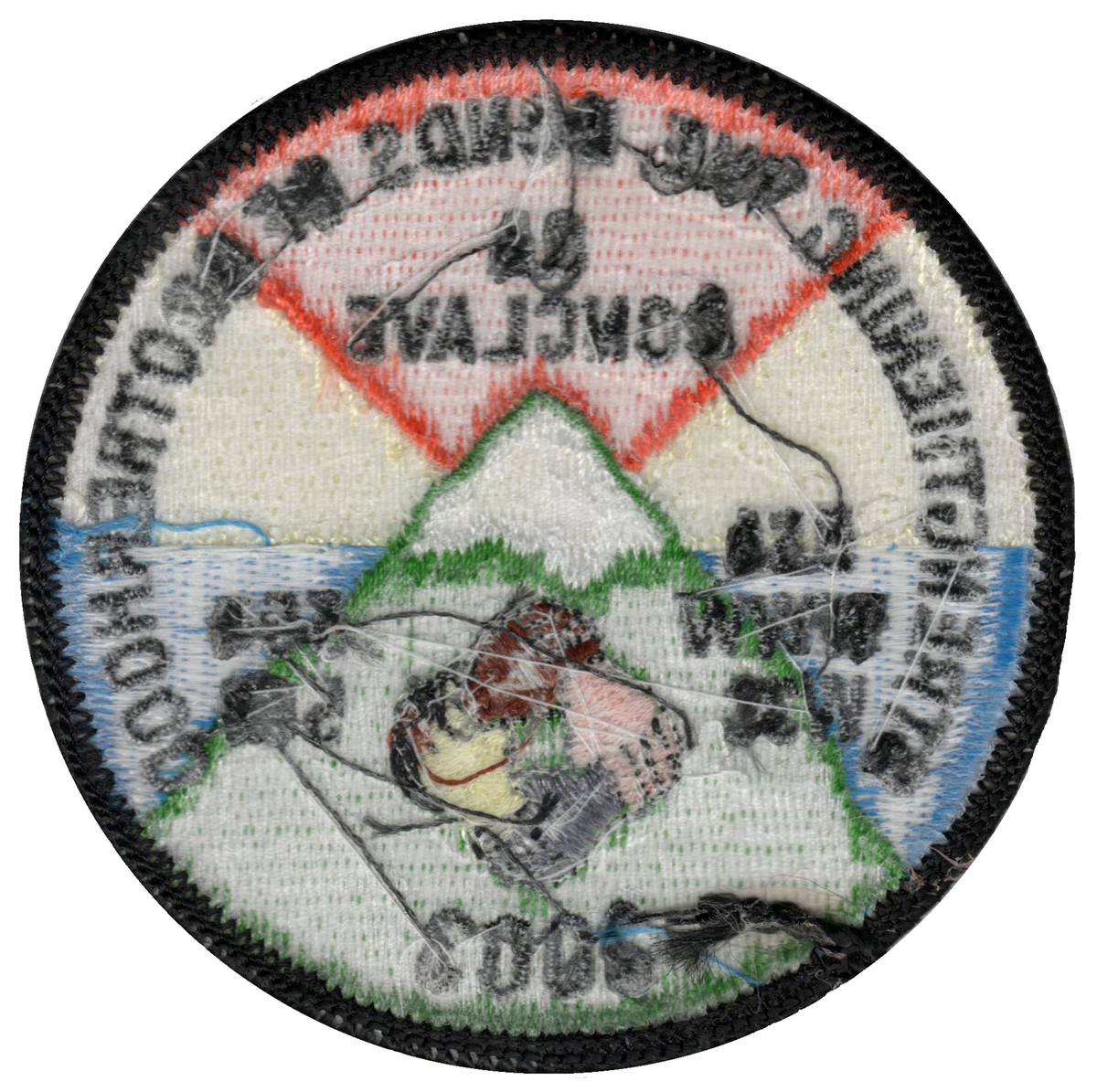 Section W-3C (1973-2020) | PatchVault®